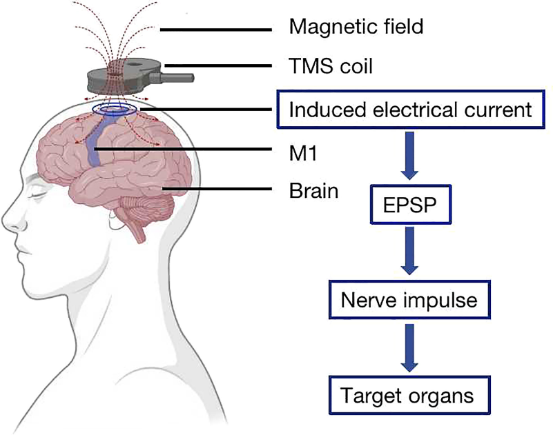 How FMRI aids in Diagnosing and Treating Mental Health Disorders